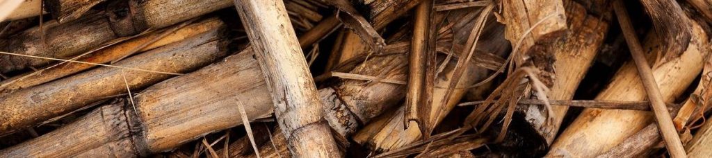 5 Facts About Bio-Based Polyethylene In Packaging - Stanpac